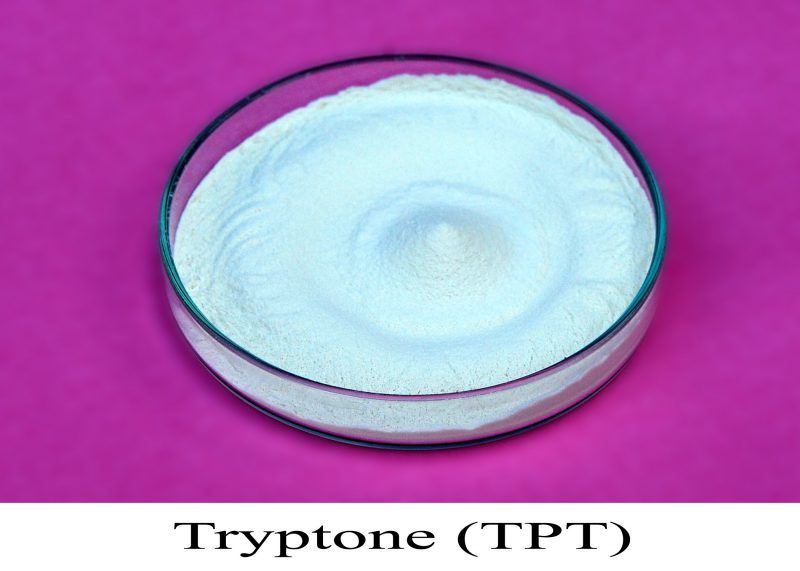 TRYPTONE (BACTERIOLOGICAL GRADE) – Chaitanya Group of Industries