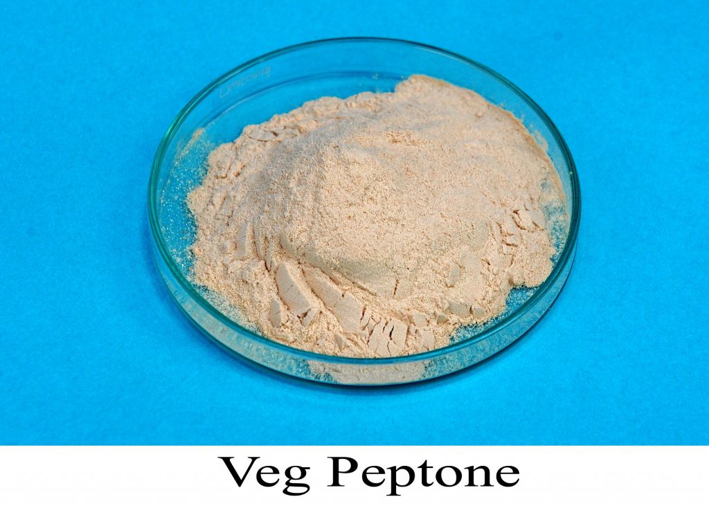 VEG PEPTONE – Chaitanya Group of Industries