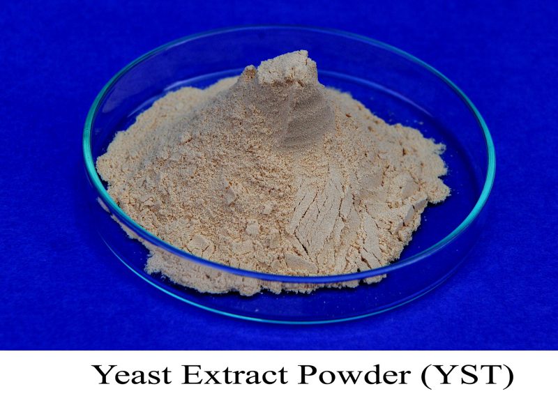 YEAST EXTRACT (BACTERIOLOGICAL GRADE) – Chaitanya Group of Industries